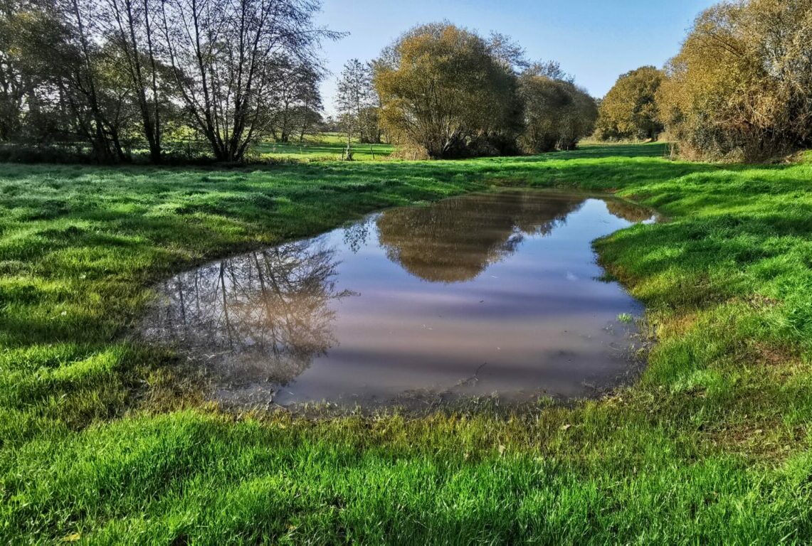 Travaux de restauration / création de mares - Smib Evre, Thau, St denis