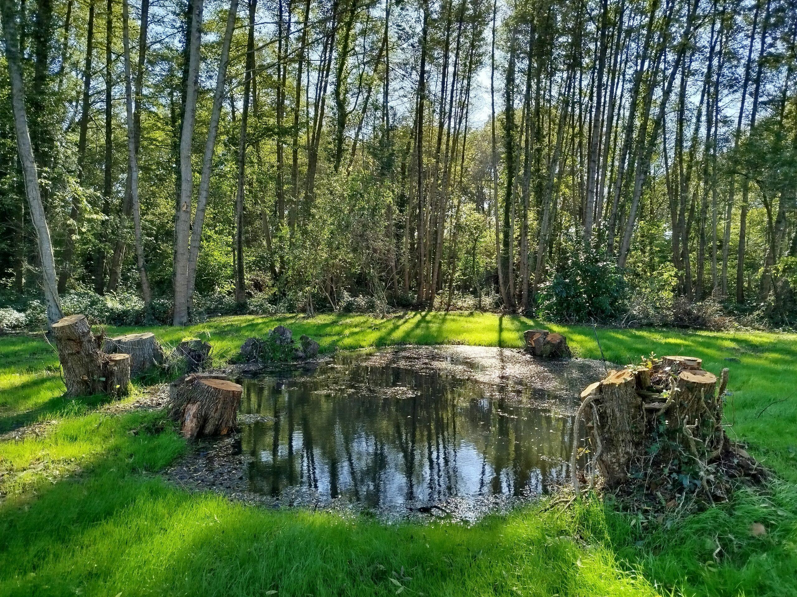 Restauration mares et zones tampons 2024 - Smib Evre, Thau, St denis