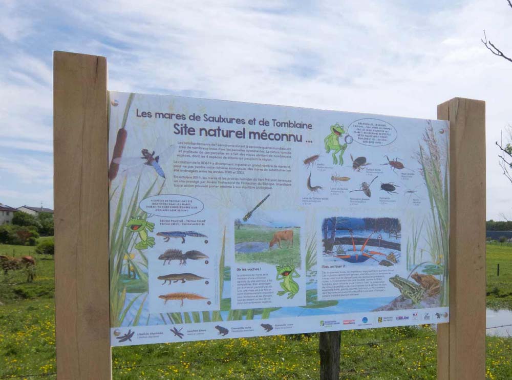 Pose de panneaux pédagogiques - Smib Evre, Thau, St denis